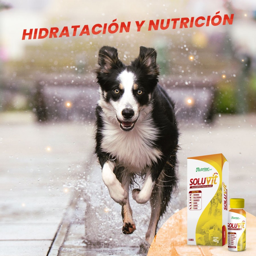 Soluvit Suplemento polivitamínico